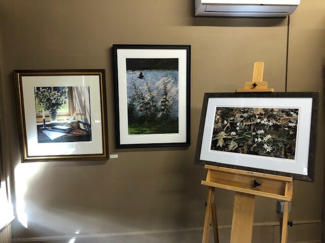 Exhibiting at Art Gallery of New Geneva